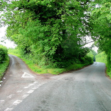 Fork_in_the_road_-_geograph.org.uk_-_1355424 (1) - Pathways Vermont