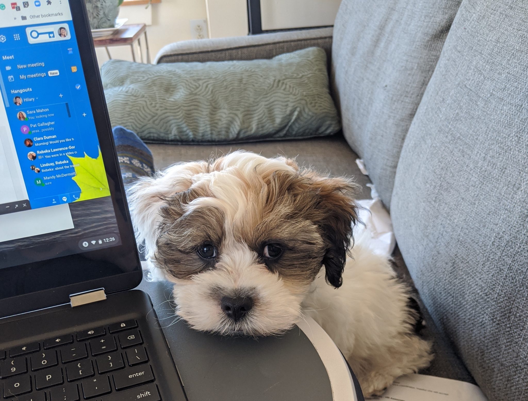 Pathways Vermont | Pathways Vermont